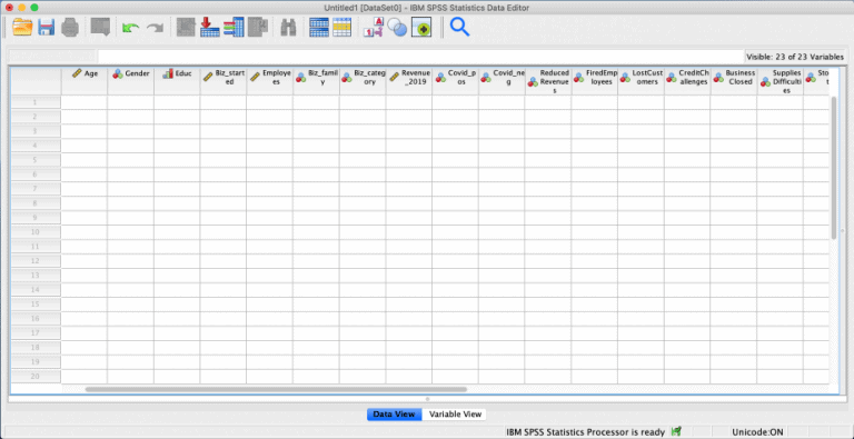 How To Code A ionnaire In SPSS A Practical Guide Resourceful 