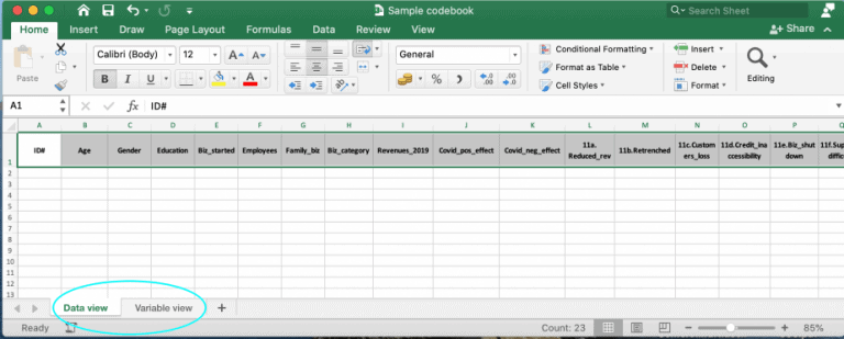 How To Code A Questionnaire In Microsoft Excel A Practical Guide