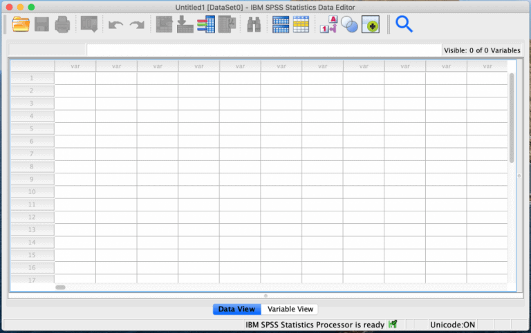 How to Code a Questionnaire in SPSS (A Practical Guide) - Resourceful ...
