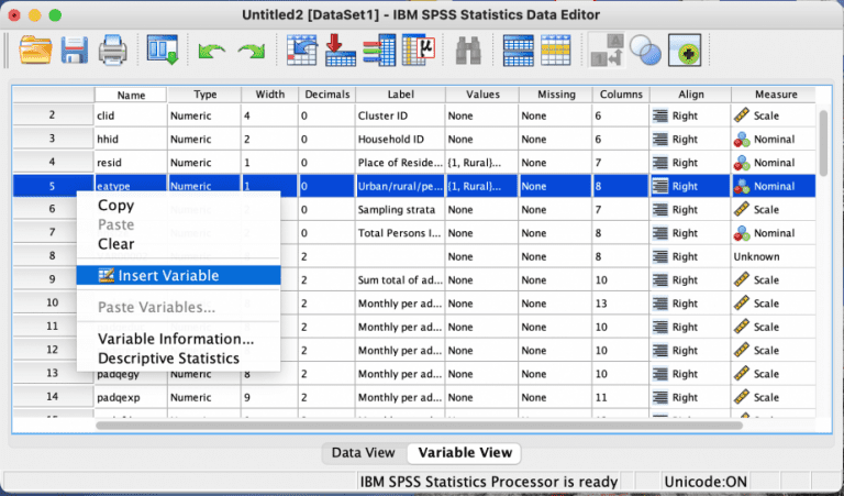 SPSS Tutorial #3: Data Modification in SPSS - Resourceful Scholars' Hub