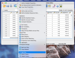 SPSS Tutorial #3: Data Modification in SPSS - Resourceful Scholars' Hub